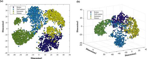 a feature visualization of 2d space b feature visualization of 3d