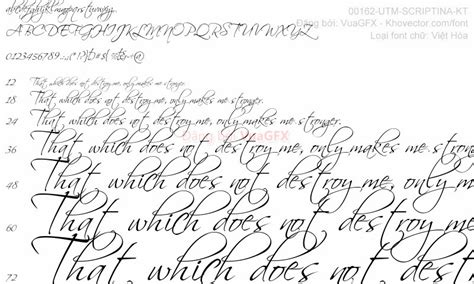 Font Utm Scriptina Kt Download Miễn Phí