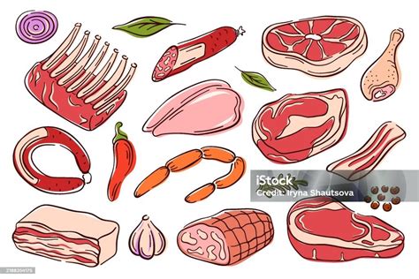 라인 아트 스타일의 다양한 다채로운 고기 세트 소시지와 컷 갈비 스테이크 베이컨 닭고기와 햄 신선한 허브 마늘과 칠리 페퍼 요리 또는 정육점 테마에 적합합니다