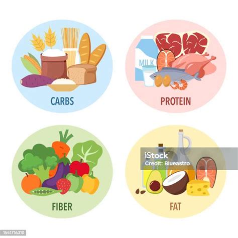 식품 영양 그룹은 탄수화물 단백질 섬유질 및 지방 개념 벡터 그림을 설정합니다 식이 섬유에 대한 스톡 벡터 아트 및 기타 이미지 식이 섬유 음식 섬유 Istock