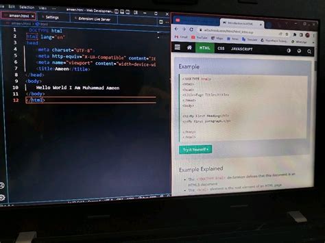 Muhammad Ameen On Linkedin Webdevelopment Html 22 Comments