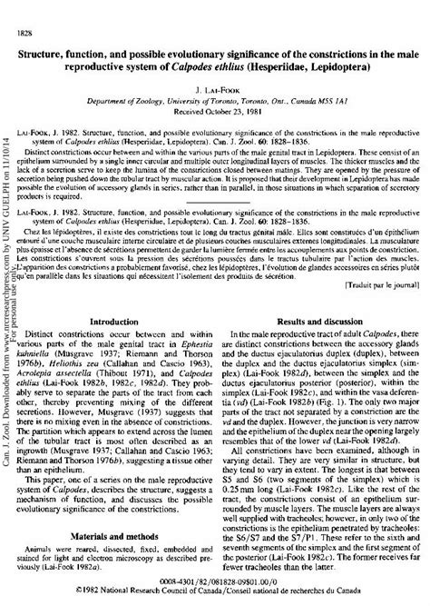 Pdf Structure Function And Possible Evolutionary Significance Of The Constrictions In The