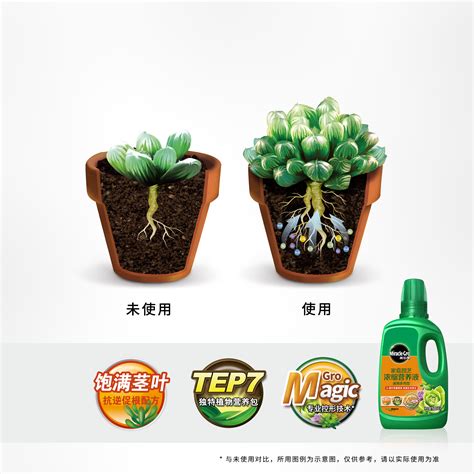 美乐棵多肉植物肥料肉肉专用营养液盆栽植物花卉浓缩液体叶面肥 虎窝淘