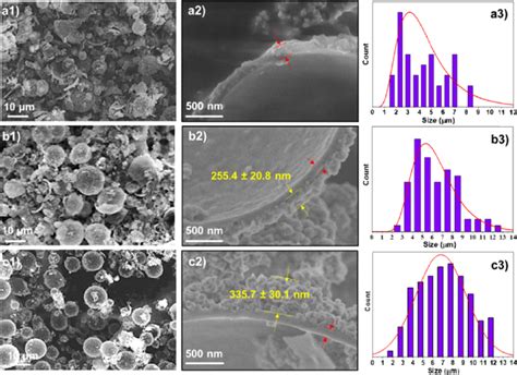 Sem Images Showing The Effect Of Caco 3 Nanoparticle Amounts A 025