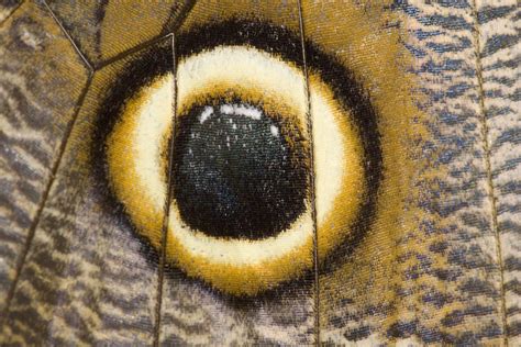 Using Smartphones For Mobile Qualitative Research Top 5 Benefits