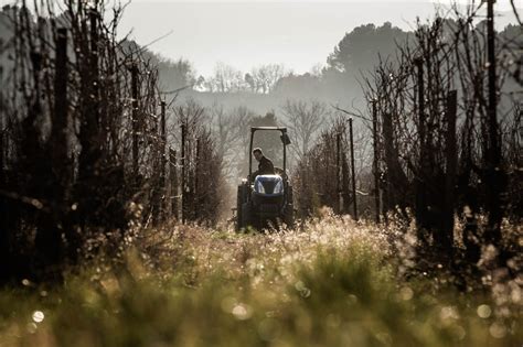 Domaine Ruffinato Nicolas Grandi