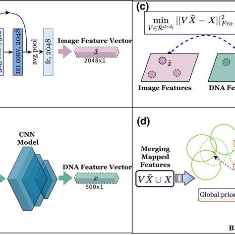 Deep Hierarchical Bayesian Classification With Described And