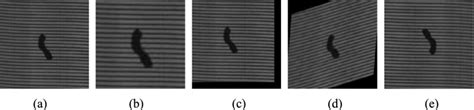 Data Augmentation Results A Original Image B Scaling C