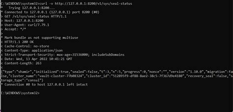 Windows Hashicorp Vault Server Ui Loads A Blank Screen Stack Overflow