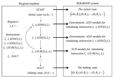 Applied Sciences Free Full Text Spiking Neural P Systems With Rules
