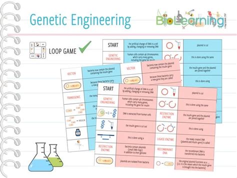 Genetic Engineering Loop Game Ks4 Teaching Resources