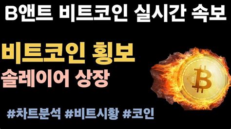 실시간 Live 비트코인 95k 트럼프 월드리버티파이낸셜 1917 Eth 등 매수 비트코인실시간 이더리움 엑스알피 솔라나 Trump Youtube