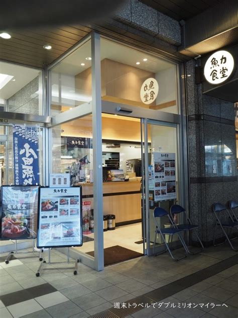 魚屋さんが経営する魚力食堂でお手頃価格のクオリティ高い海鮮丼ランチ