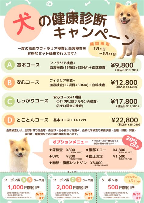 犬の健康診断キャンペーン ムスビ動物病院｜平和台・氷川台・上板橋・東武練馬｜犬・猫・エキゾチックアニマル対応の動物病院