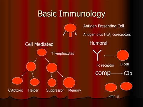 Jeffrey J Kaufhold Md Facp Nephrology Associates July Ppt Download
