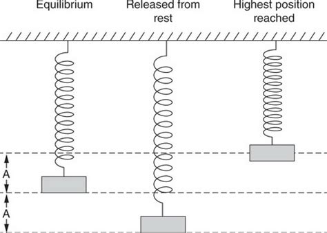 AP Physics Practice Test Crackap Com