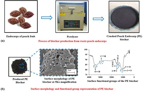 Dynamics Of Biochar Silty Clay Interaction Using In House Fabricated