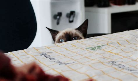 Worlds Easiest Movie Title Anagrams By Russ Cooper Medium