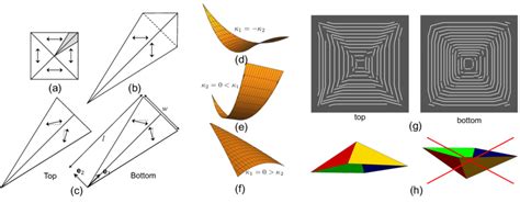 The Design Of A Pyramid With Bias A The Director Pattern Of Download Scientific Diagram