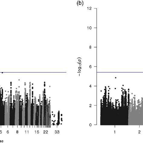 Population Structure Based On The First Two Multidimensional Scaling Download Scientific