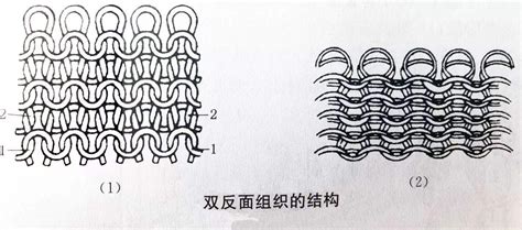 针织物常用名词术语及对应图例 知乎
