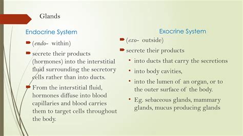 Adrenal Gland Endocrine And Exocrine Systems Pptx