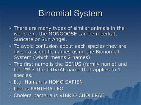 Grouping And Identifying Living Things Ppt Download