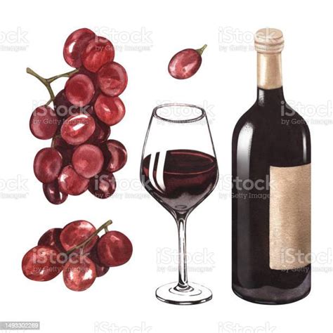 병의 수채화 그림 적포도주와 포도 한 잔 흰색 배경에 격리된 알코올 음료의 사진 와인 리스트 라벨 배너 메뉴 브로셔 템플릿에 대한 개념입니다 포도주 시음에 대한 스톡 벡터