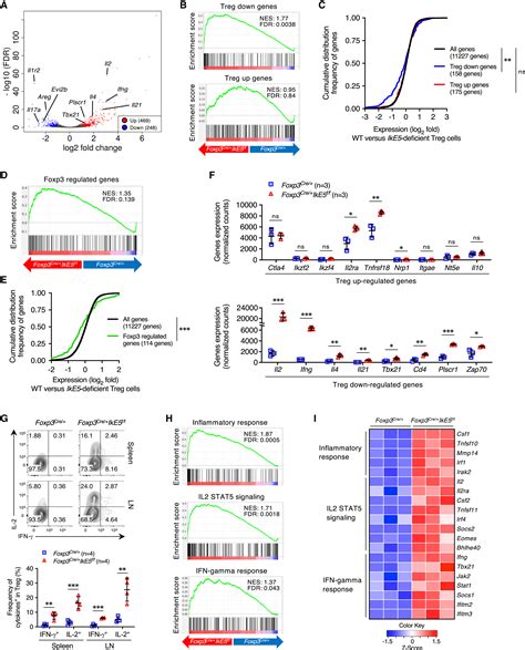 Transcription Factor Ikzf1 Associates With Foxp3 To Repress Gene Expression In Treg Cells And