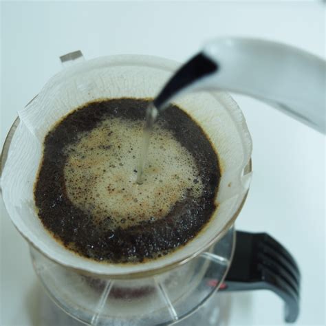 에티오피아 아바야 게이샤 원두커피 허니