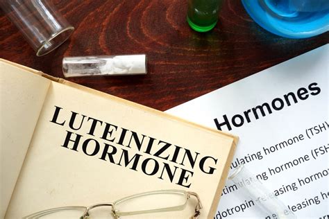 What Is The Luteinizing Hormone Lh