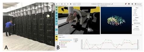 Technologies Driven By Neuroscience A The Million Processor Spinnaker