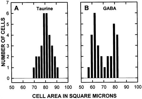 A Distribution Analysis Of The Cross Sectional Cell Area For Taurine Li