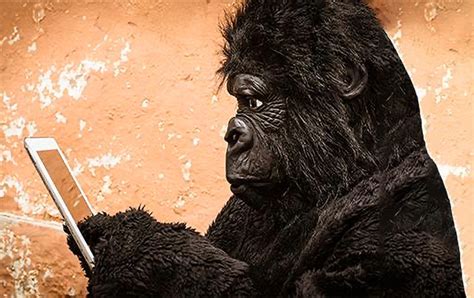 Gpt 4 Ai가 설명하는 인공지능 세계의 ‘환각illusion 현상 협동조합 소요 逍遙