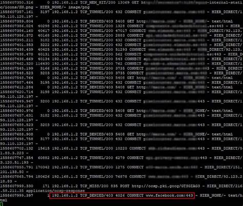 Cómo Configurar Un Servidor Proxy Con Squid El Taller Del Bit