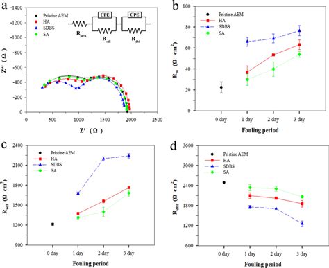 The Results Of Electrochemical Impedance Spectroscopy Analysis A Download Scientific Diagram
