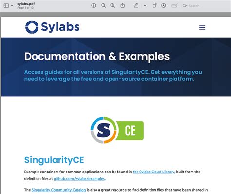 Instances Running Services — Singularityce User Guide Main Documentation
