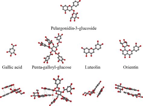 Three Dimensional Structures Of The Anthocyanin Pigment Upper Part