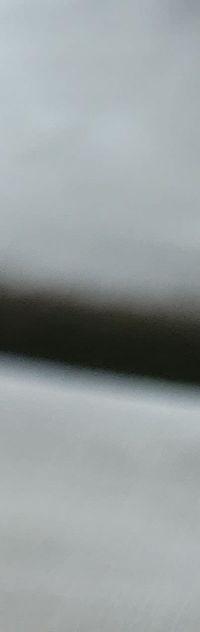 Image Posted On Mar 31 2023 Adrianne Hoseluver On Tumblr