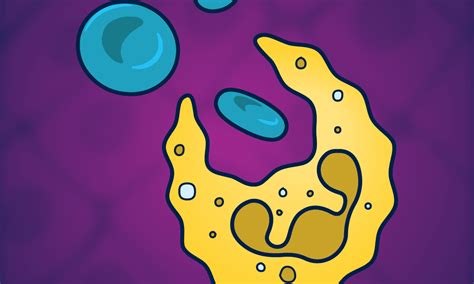 Online Course Immunology Autoimmunity Allergy And Transplants From Imperial College London