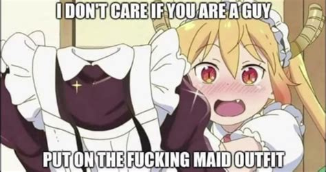 Femboy Memes And Memes Ideas To Save Today Funny Images Funny Memes Anime Funny And More