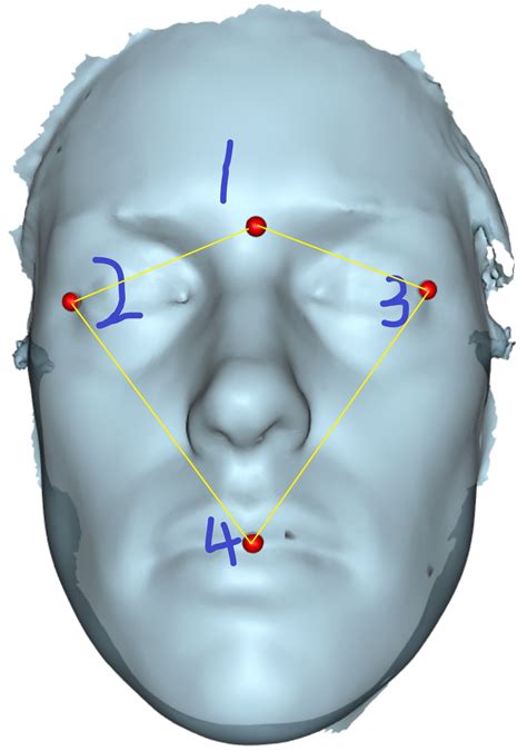 R Calculate Area On D Surface Mesh Encolosed By Four Arbitrary Points From Coordinate Data