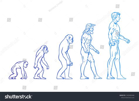 Human Evolution Vector Illustration Hand Drawn Stock Vector Royalty
