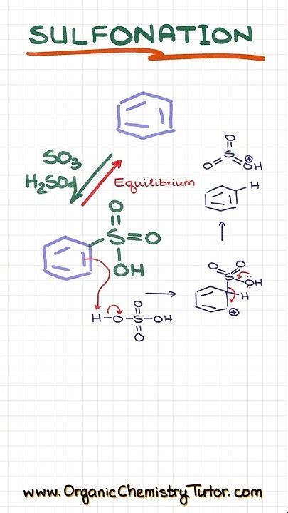 Did You Know This About Sulfonation Youtube