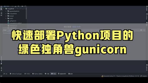 用python开发的运行python的服务器 教育 职业教育 好看视频