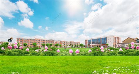 Grass Sky Background Download Free Banner Background Image On Lovepik