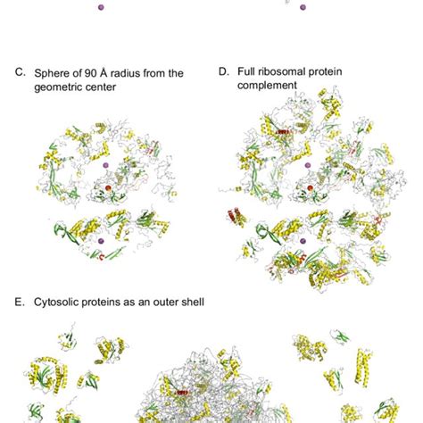 Vikram Alva Project Leader Phd Max Planck Institute For