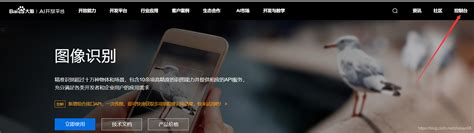 最新调用百度ocr文字识别api 一看就会（python实现）百度 New Aipocr 调的是哪个方法 Csdn博客