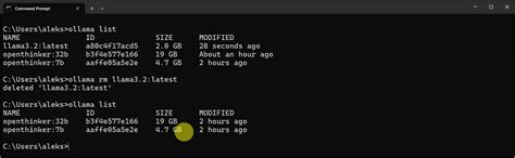 Tutorial On How To Delete Local Ollama Large Language Models On Windows