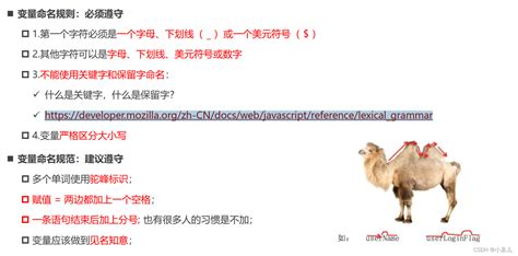 Javascript变量和数据类型javascript的变量数据类型 Csdn博客